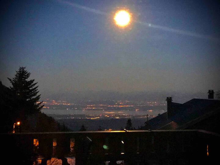 Appartement Dans Un Chalet Vue Lac Léman Montagne - Mijoux