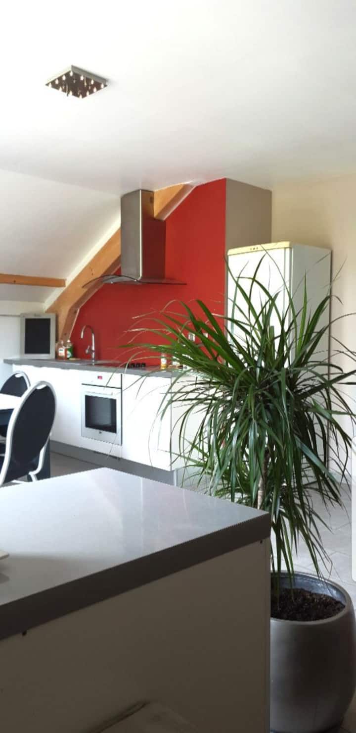 Appartement Indépendant Ds Maison Entre 2 Lacs. - Alby-sur-Chéran