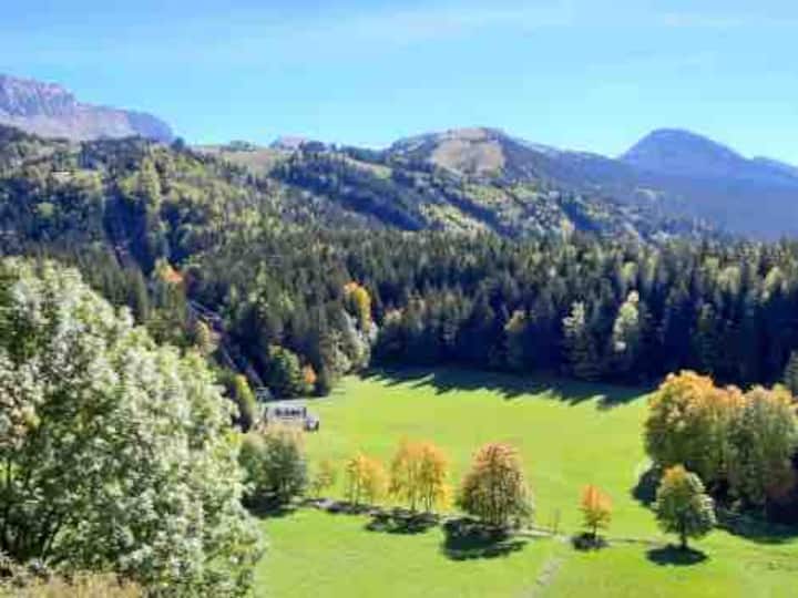 Coquet Studio Près Des Pistes - Massif du Vercors