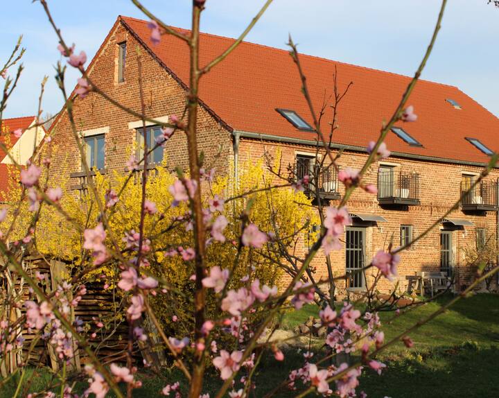 Fw Ab 63€ Dreiseiten Sternenhof Vermieten - Bad Belzig