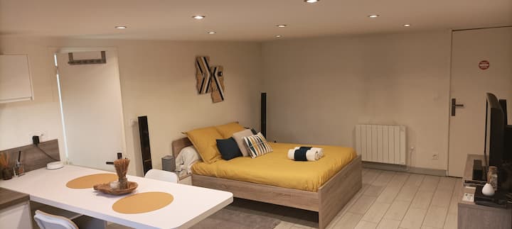 Ravissant Studio Indépendant Proche Orly Et Paris - Savigny-sur-Orge