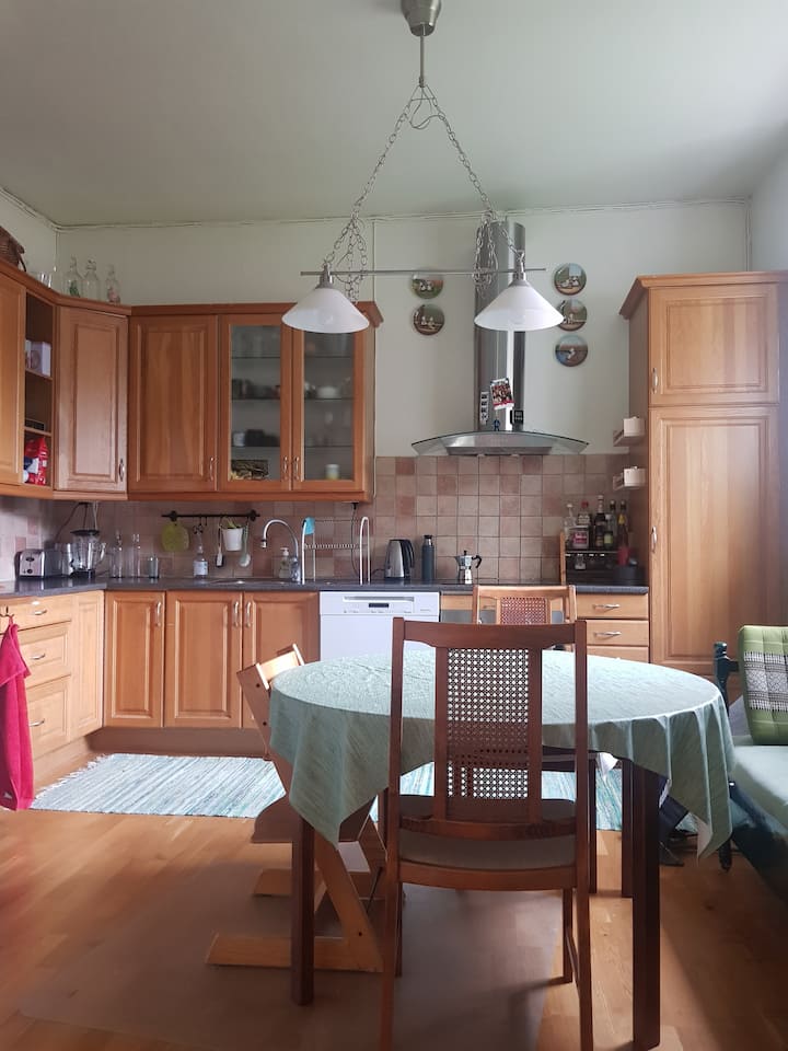 Large Flat In Front Of The Park - Göteborg