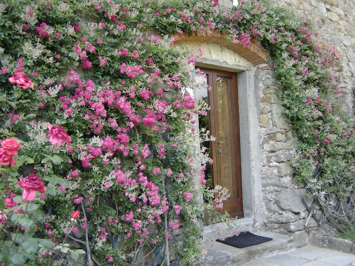 Casa Di Mezzo Di Podere Villa - 4 People - Bagni di Lucca