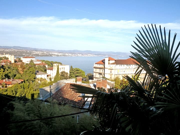 Beautiful View-opatija - Opatija