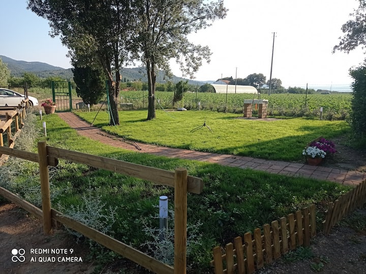 Fuga Dalla Città : Mare E Campagna E Relax Per 2 - Campiglia Marittima