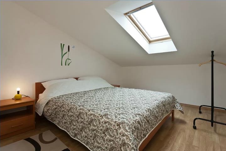 Apartment Roić 4 - Stari Grad