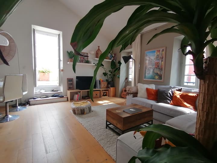Bel Appartement à 100 M De La Plage - Saint-Jean-de-Luz