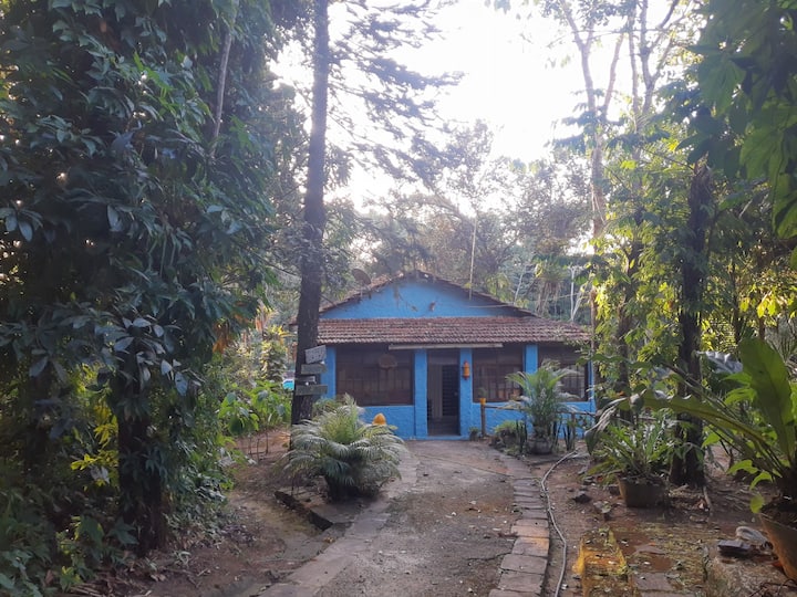 Granja Dendê Aldeia - Recife