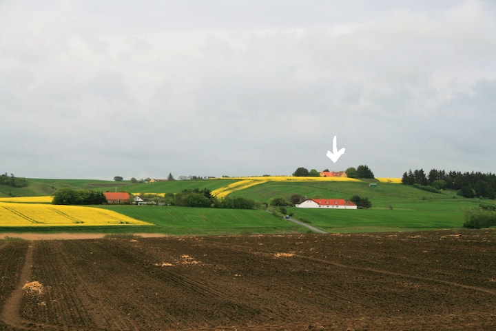 Engbjerg, Højt Over Land Og Hav - Hirtshals