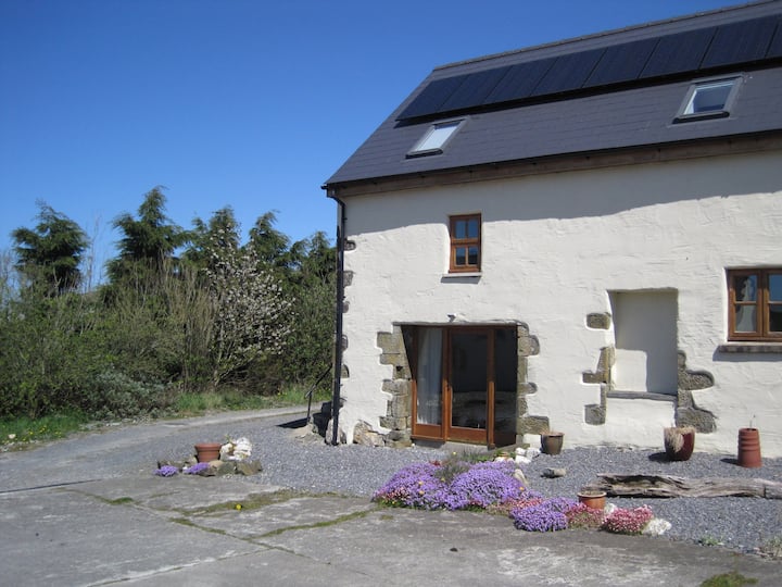 Cosy Converted Barn On The Coast - Beudy Bach - Cardigan