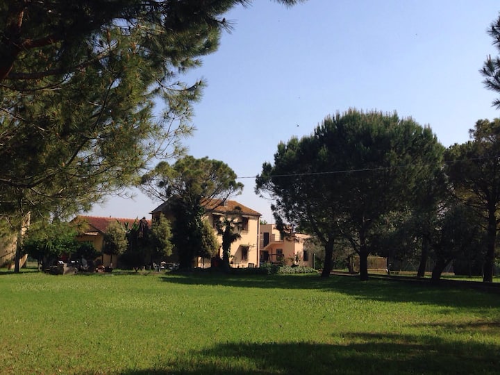 Adamasseria,  Federico  Cin It068015c22hwgcbqj - Montesilvano