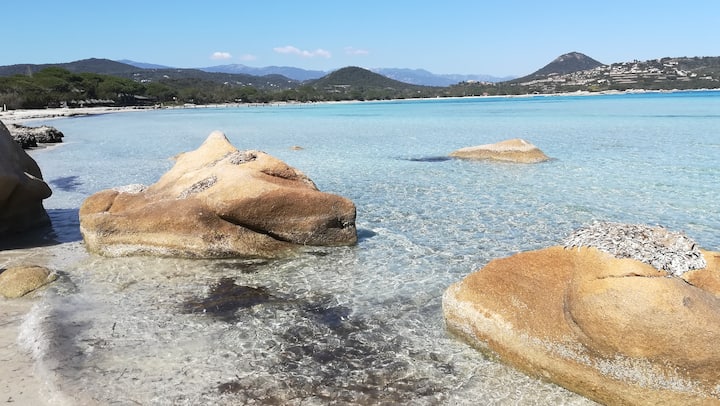Dispo éTé 2025 Porto-vecchio Rez De Jardin - Porto Vecchio