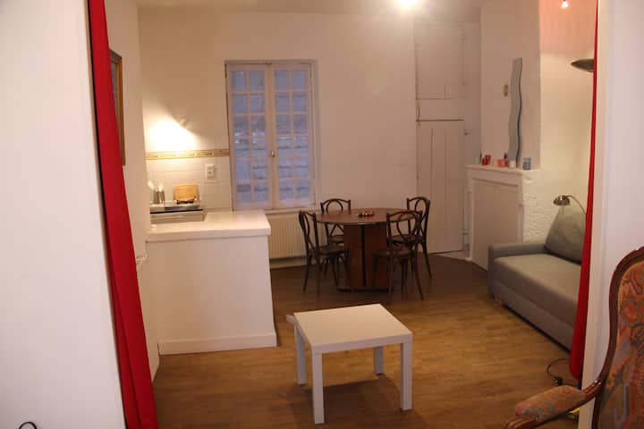 Joli Appartement En Plein Centre Historique - Clermont-Ferrand