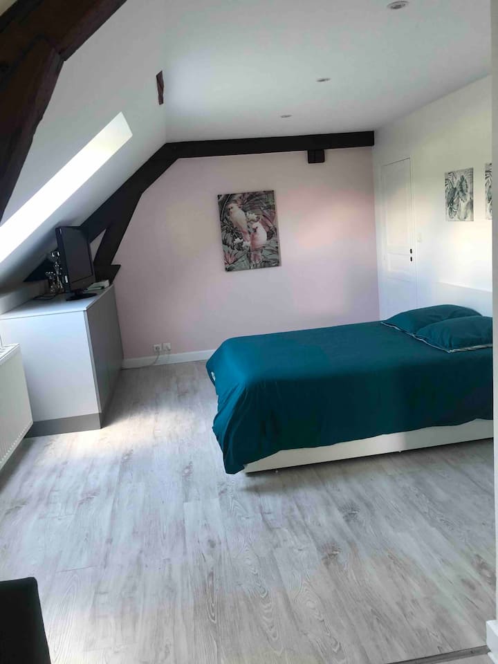Chambres Familiales Spacieuses - Sully