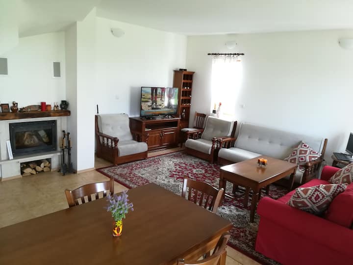 Mountain Villa/lodge Close To Dolna Banya - Dolna Banya