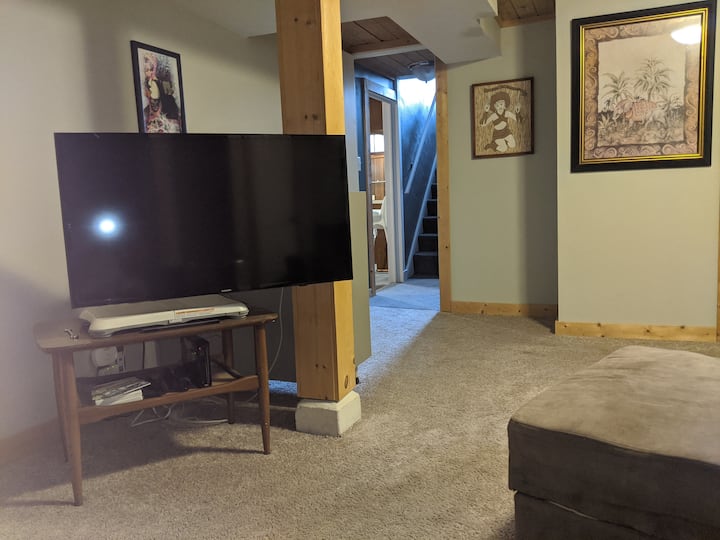 Whole Floor-1 Bed/1 Bath/kitchen/lr On Light Rail - Minneapolis, MN