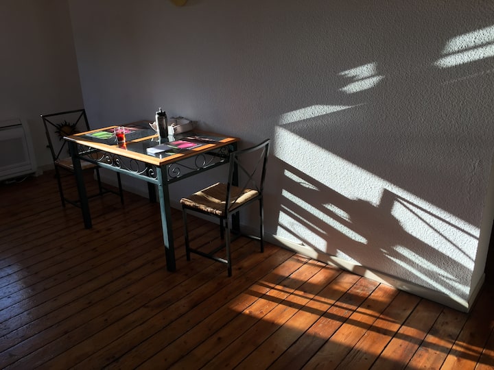 Cocon Au Coeur De La Ville - Toulouse