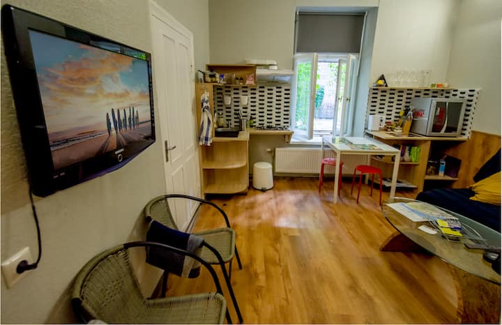 Bruninieku Apartment/free Parking - Riga