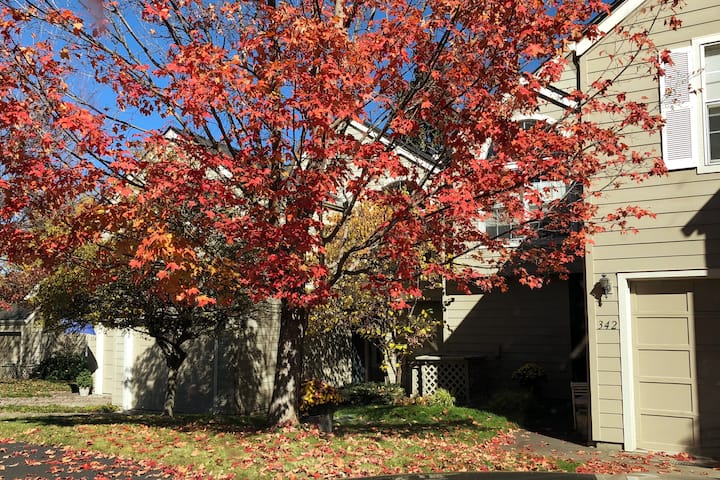 Ashland Retreat - Ashland, OR