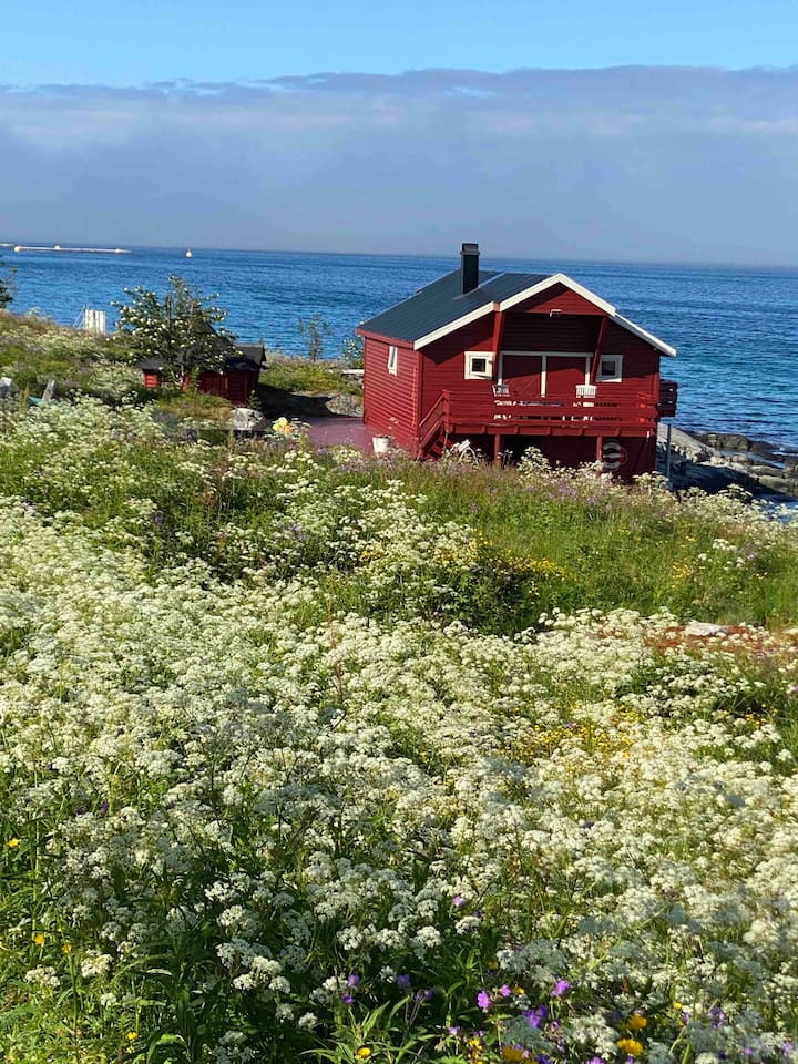 Tromsø: Rorbu/hytte  I Havgapet  På Privat øY. - Tromsø