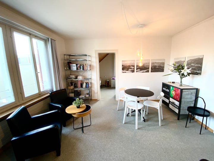 4  Room Flat For 4 People - Center Of St.gallen - Gossau