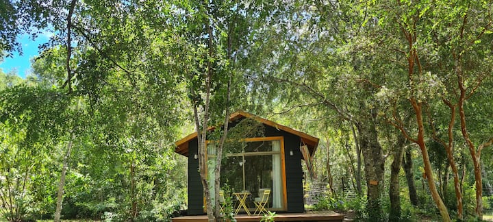 Bosque Soñado - Pucon