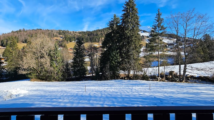 Studio Avec Parking Au Pied Des Pistes - Thônes
