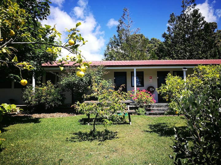 Taruna Lodge - Hastings