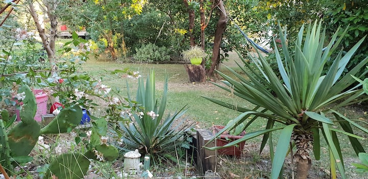 Le Grand Chalet - Lacanau Océan