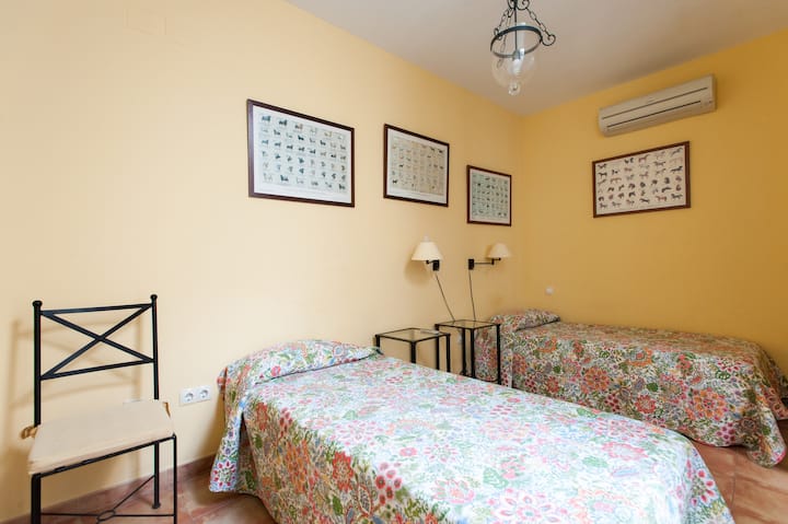 Double Room With Private Bathroom Very Central - Seville