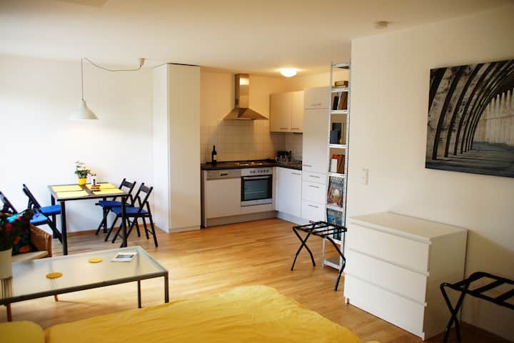 1 Room Apartment, Calm & Central, Terrace - Tübingen