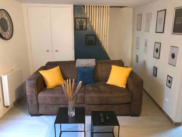 Appartement Chambery , Rue Piétonne. - Chambéry