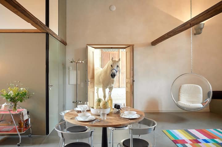 Appartement 1 - Château De Sibra - Mirepoix