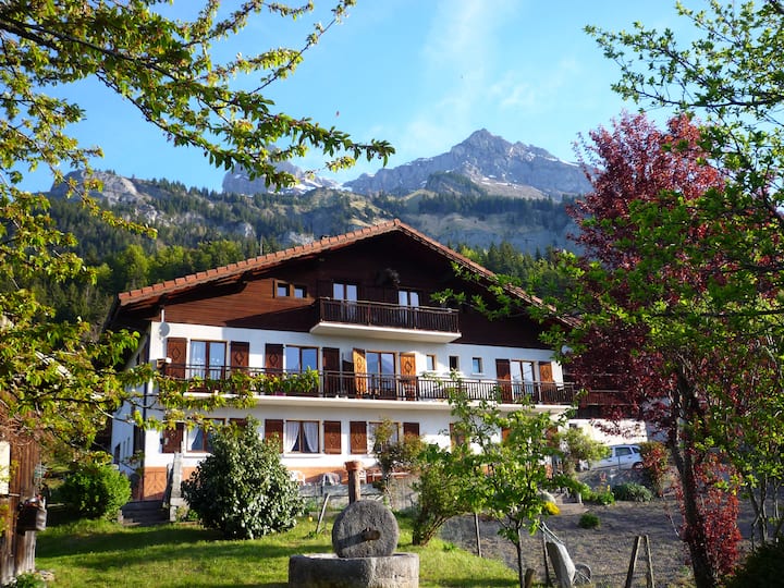 Vue Exceptionnelle Mt Blanc, 25 Min Chamonix - Passy