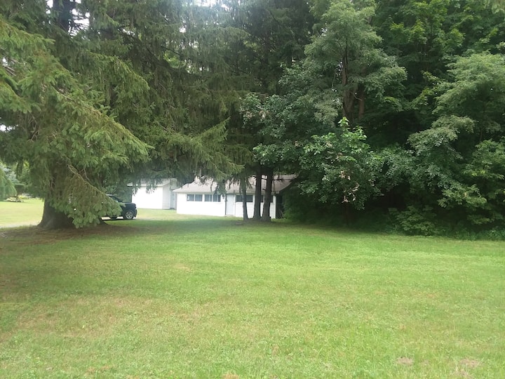 Solitude In The City - Close To Suny Albany - Albany, NY