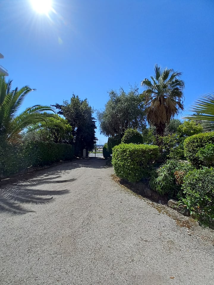 Un Petit Coin De Paradis... - Menton
