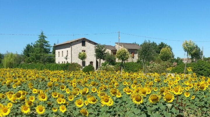 Agriturismo " Il Sagrato Di Assisi" App Con V Giar - Assisi