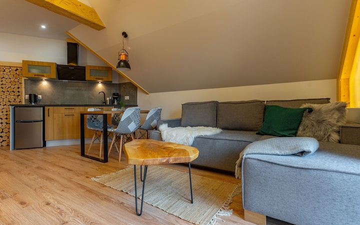 Stacja Zakopane - Apartamenty W Centrum - Zakopane