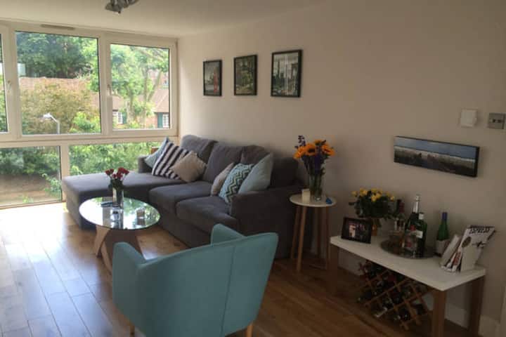 Big & Modern Flat In Great Putney Location - Kingston upon Thames