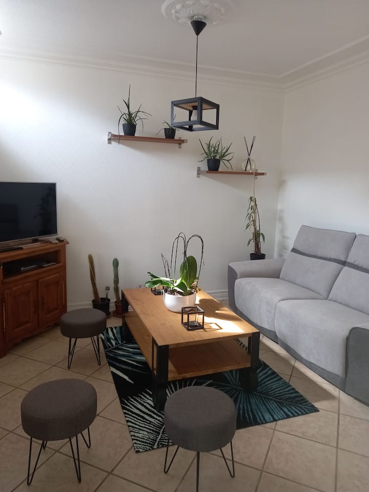 Appartement Spacieux Et Calme Strasbourg - Strasbourg