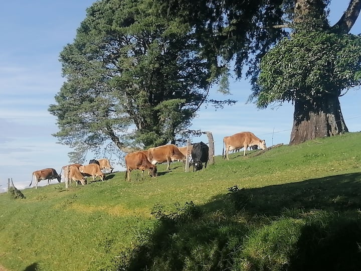 Granja Acogedora Para Buen Descanso - Jalapa