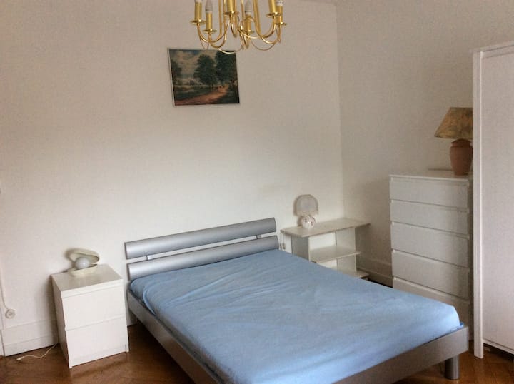 Un Bel & Grand Appartement De 22m2 Au Centre Ville - Geneva