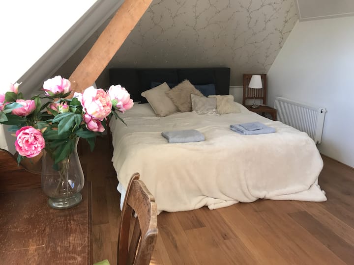 B&b In De Tuin Van Dorth - Deventer