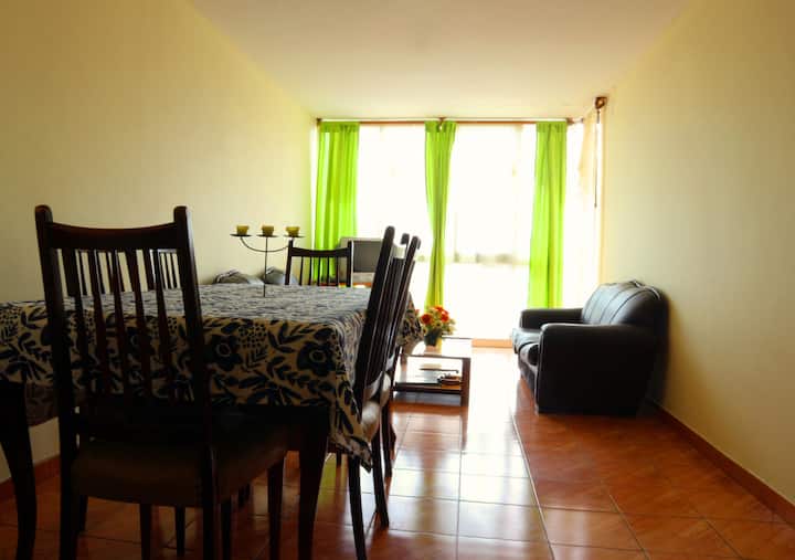 Lovely Apartament - En Pleno Centro De La Ciudad - 比尼亞德爾馬