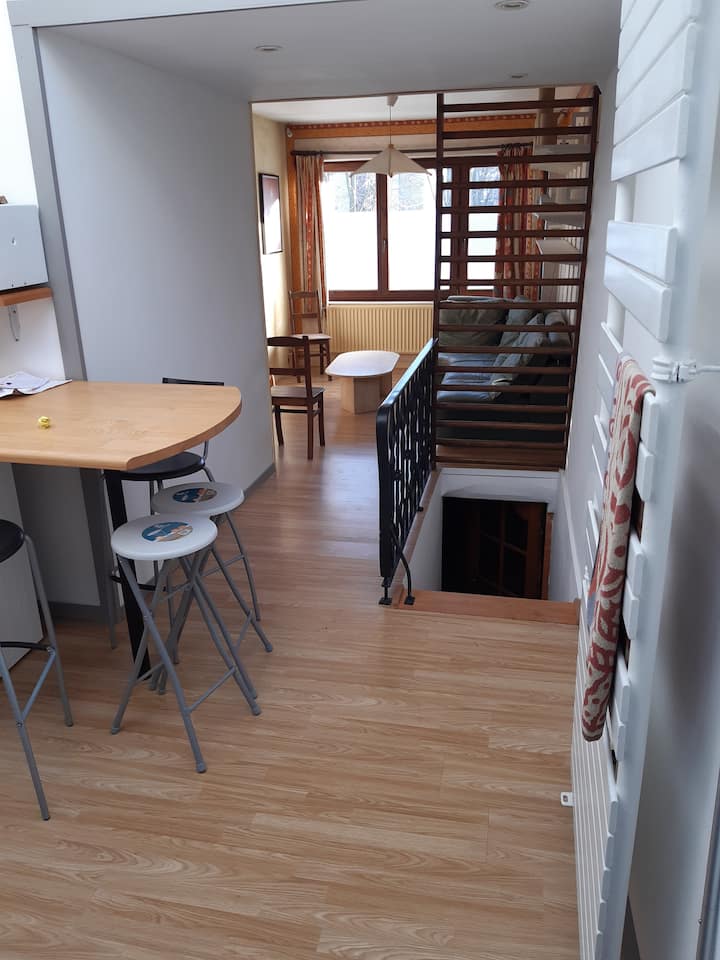 Jumet Heigne, Appartement Avec Une Chambre. - Charleroi