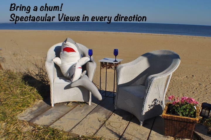 04 Direct Beachfront! 4 Bed Kayak, Swim, Fish,walk - Norfolk, VA