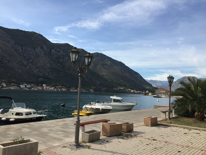 Apartment In Dobrota - Tanja - Kotor