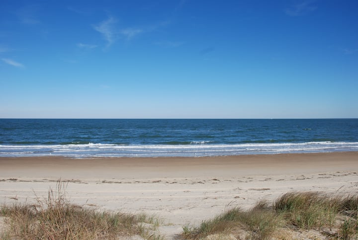 Treetop At The Beach - Beach Front, Wi-fi, Pets - Norfolk, VA