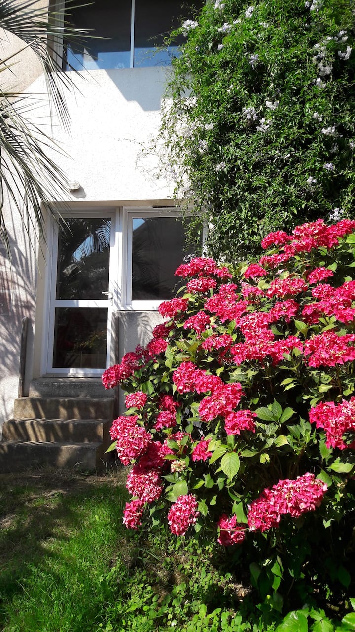 Le Palmier - Larmor-Baden