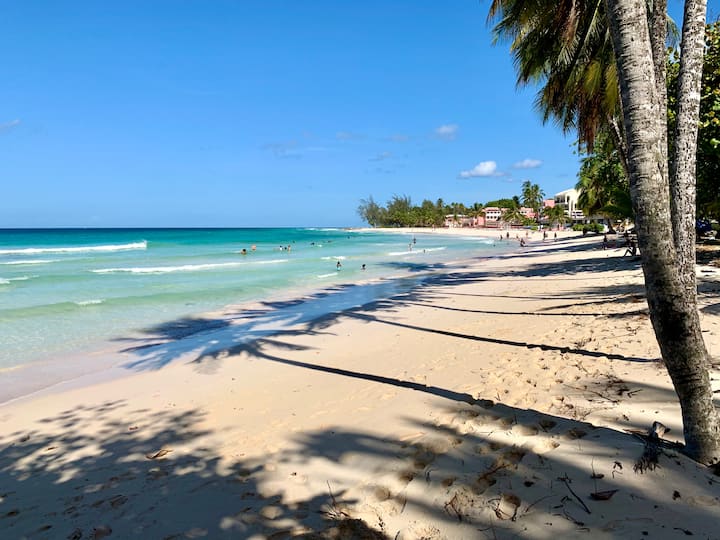 Breezy Beachfront Apartment: Turtles Nest C - Worthing